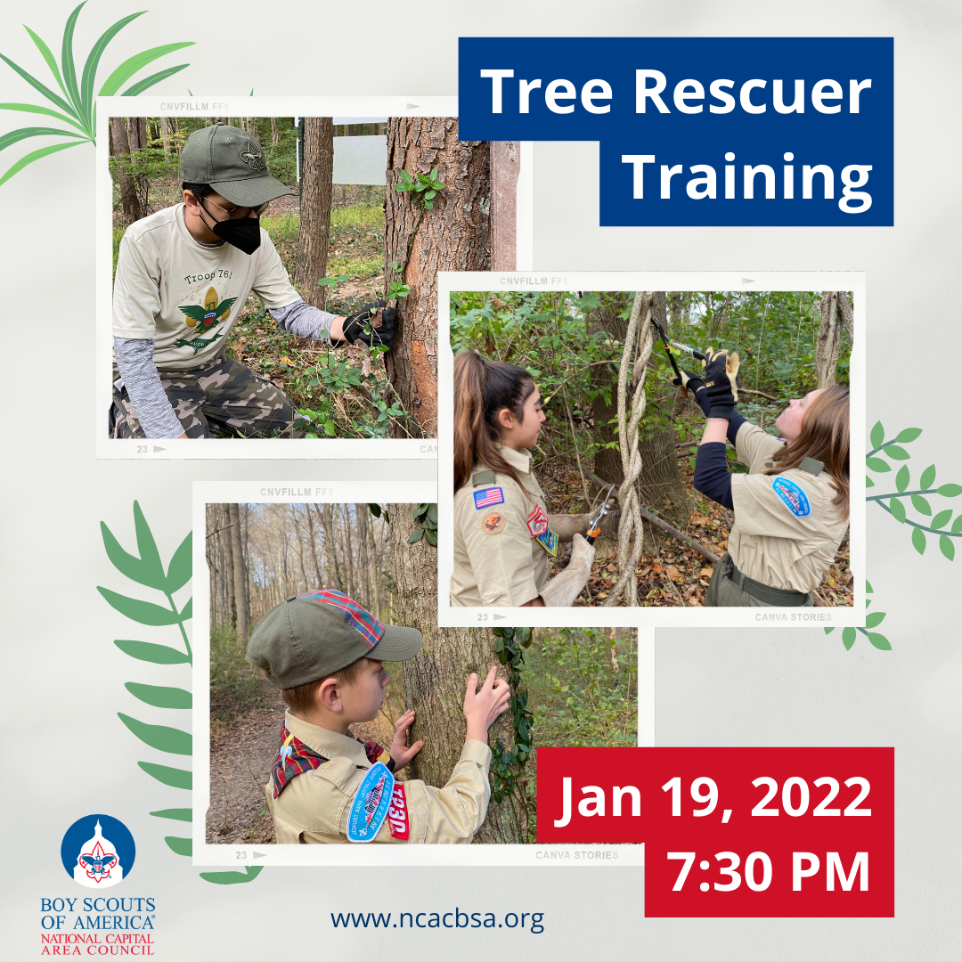 Tree Rescuer Program Launches on Jan 19th – We Own Adventure