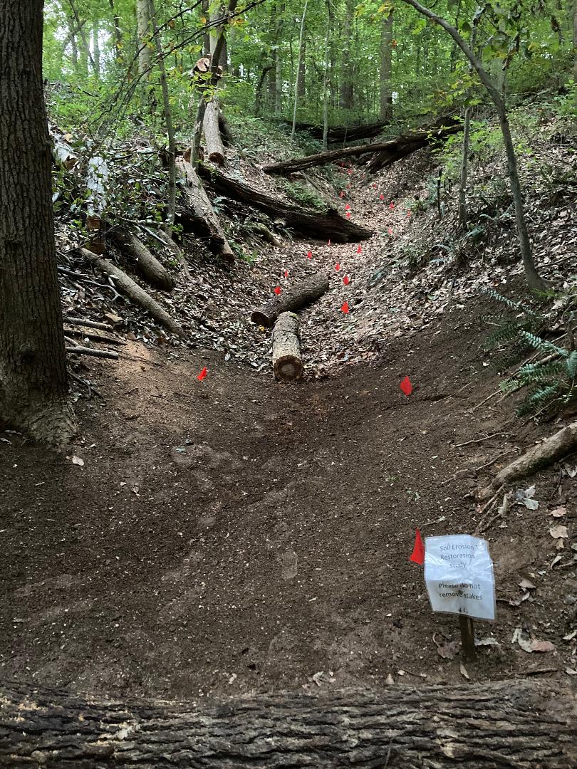 Scout Restores Ravine in Potomac Overlook Park – We Own Adventure