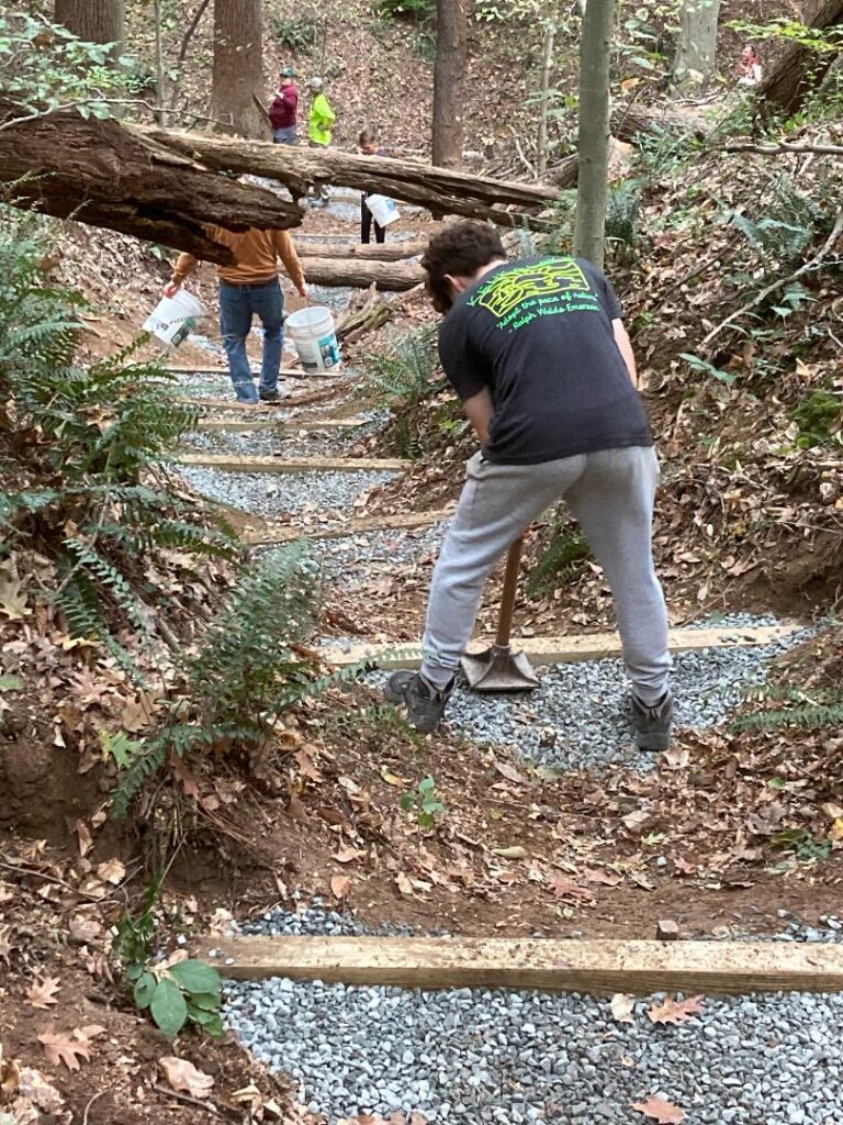Scout Restores Ravine in Potomac Overlook Park – We Own Adventure