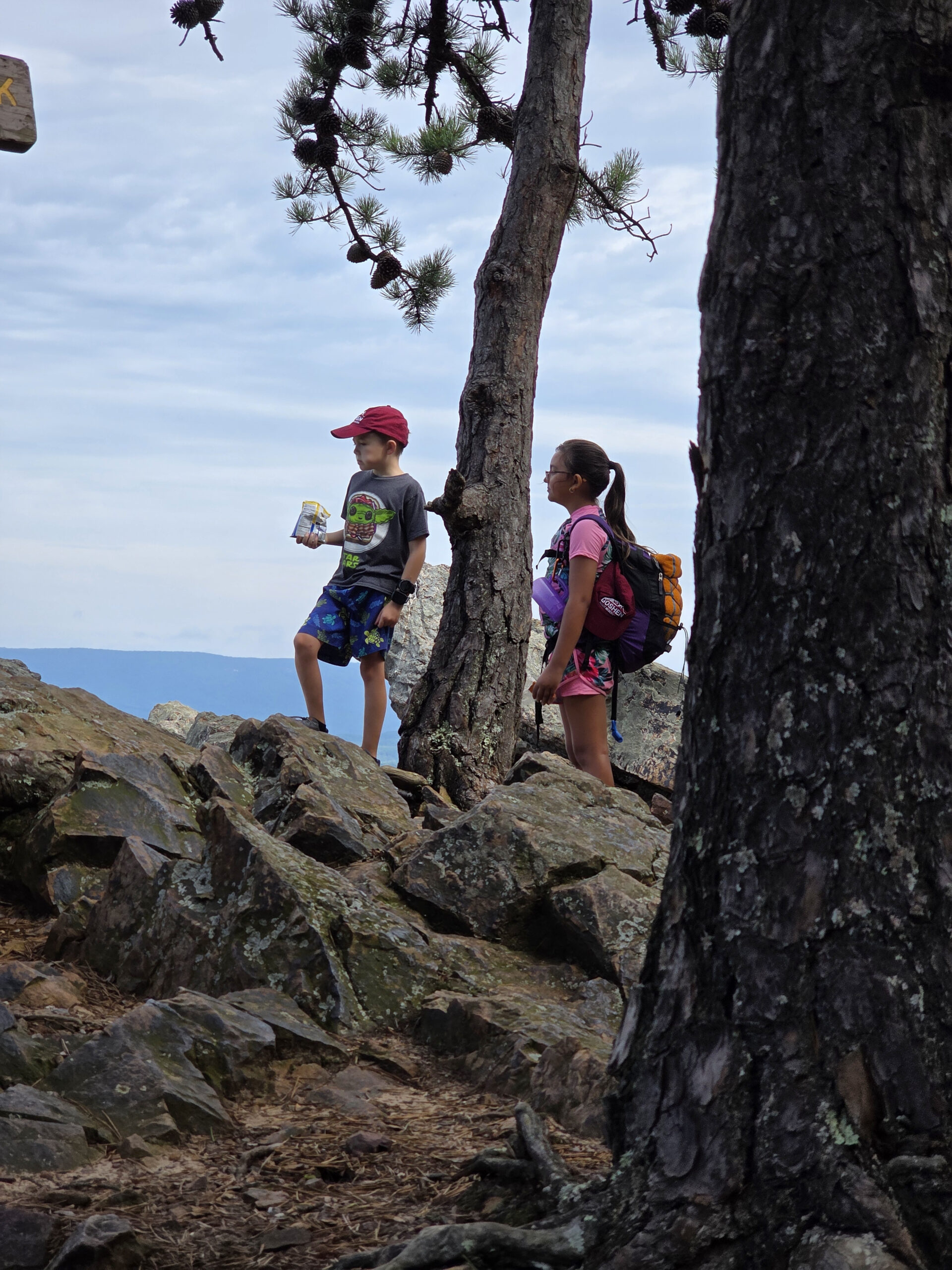 The Importance of Summer Resident Camp in the Scouting Experience – We ...